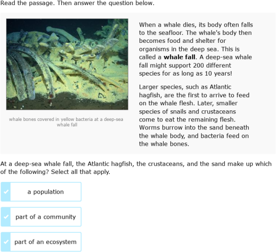 IXL - Describe populations, communities and ecosystems (Year 6 science practice)