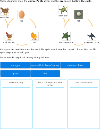 IXL - Compare different animals' life cycles (Year 2 science practice)