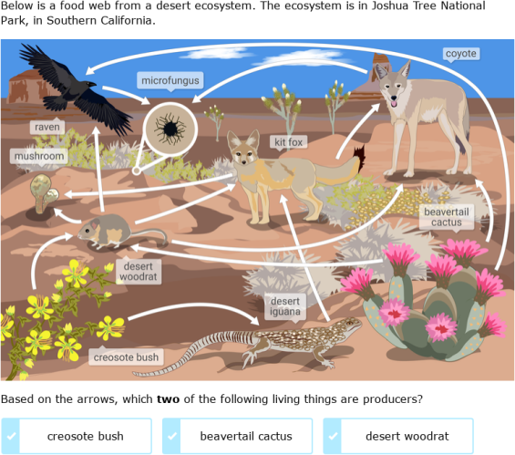 IXL - Interpret food webs (Year 3 science practice)