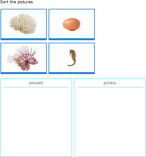 IXL - Sort objects by texture (Foundation science practice)