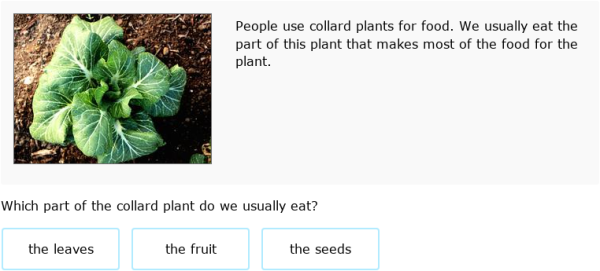 IXL - Classify fruits and vegetables as plant parts (Year 2 science ...
