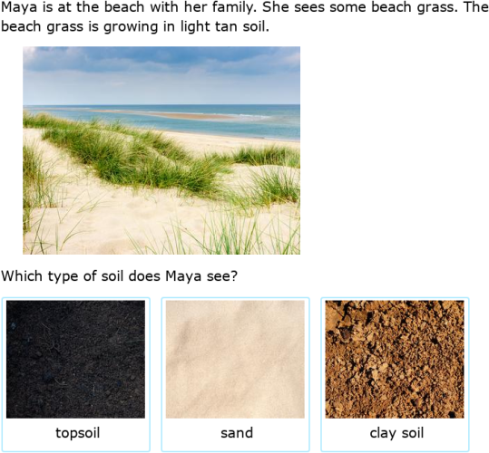 IXL - Types of soils (Year 1 science practice)