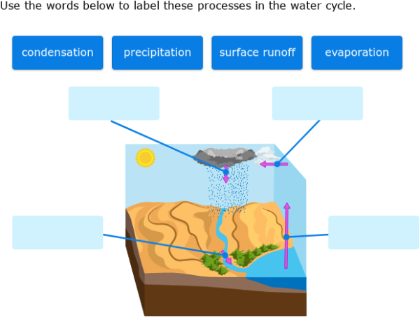 IXL - Label parts of water cycle diagrams (Year 4 science practice)