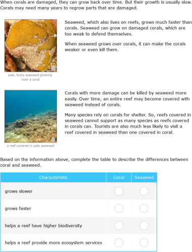 IXL - Coral reef biodiversity and human uses: explore a problem (Year 6 ...