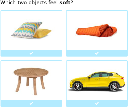 IXL - Classify objects by texture (Year 1 science practice)