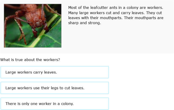 IXL - Benefits of group behaviour: leaf-cutter ants (Year 3 science ...