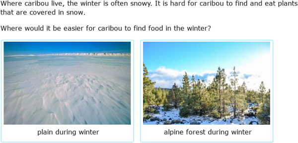 IXL - Benefits of group behaviour: North American caribou (Year 3 ...