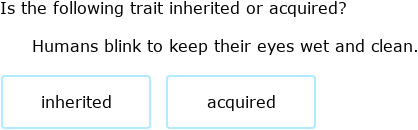 IXL - Identify inherited and acquired traits (Year 6 science practice)