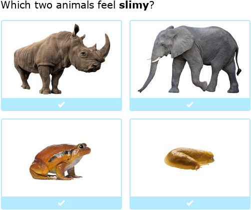 IXL - Classify objects by texture (Foundation science practice)