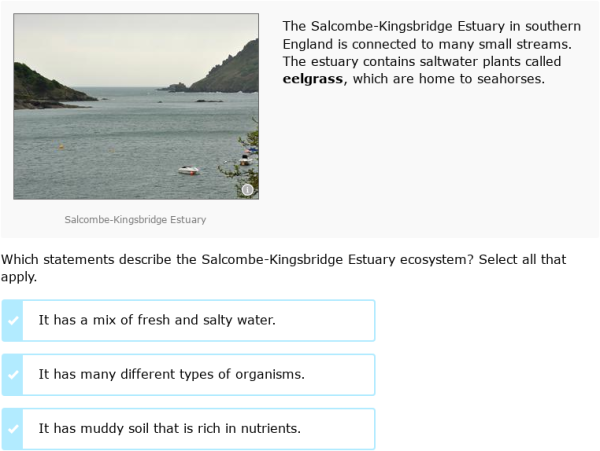 IXL - Describe ecosystems (Year 8 science practice)