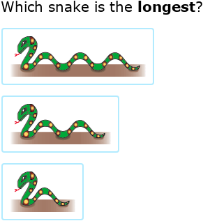 IXL - Long and short (Foundation science practice)
