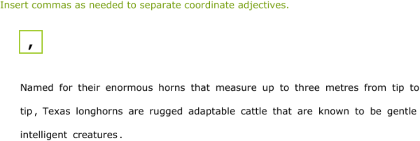 IXL - Commas with coordinate adjectives (Year 9 English practice)