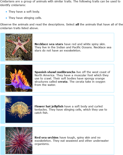 IXL - Use evidence to classify animals (Year 5 science practice)