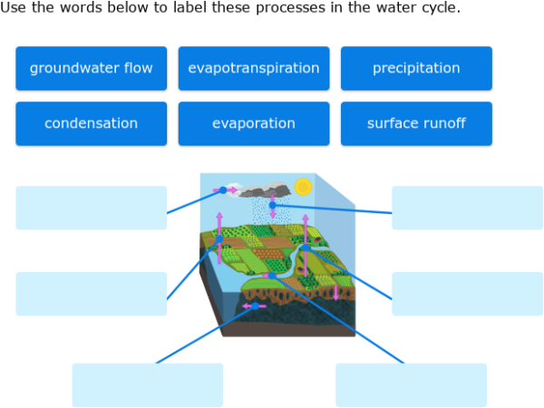 IXL - Label parts of water cycle diagrams (Year 8 science practice)