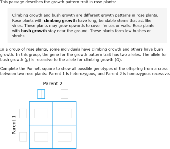 IXL - Punnett squares: Mendelian inheritance (Year 10 science practice)