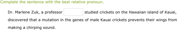 IXL - Use relative pronouns: who and whom (Year 9 English practice)