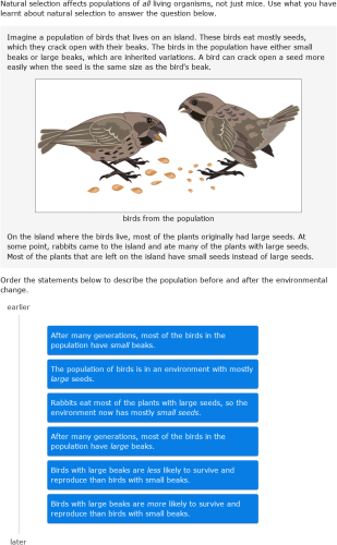 IXL - Introduction to natural selection (Year 10 science practice)