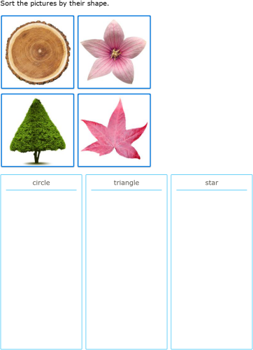 IXL - Sort objects by two-dimensional shape (Foundation science practice)