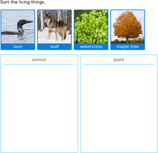 IXL - Identify plants and animals (Year 1 science practice)