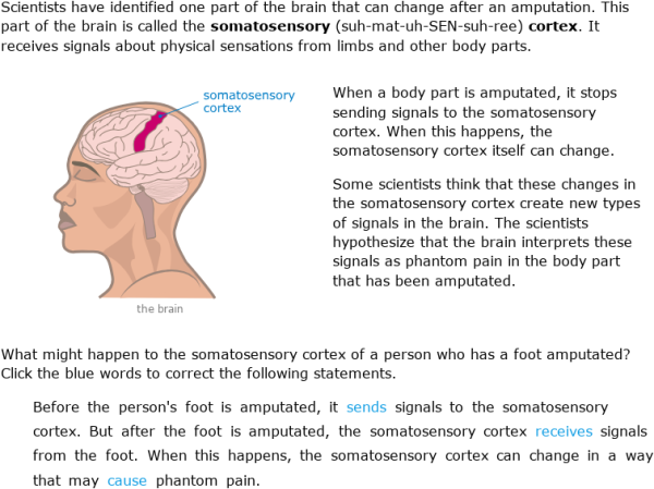 IXL - Science literacy: how does the nervous system produce phantom ...
