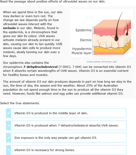 IXL - Effects of ultraviolet waves (Year 7 science practice)