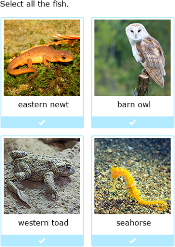 IXL - Identify mammals, birds, fish, reptiles and amphibians (Year 3 ...