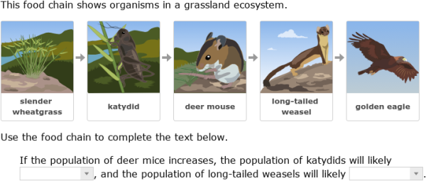 IXL - Use food chains to predict changes in populations (Year 7 science ...