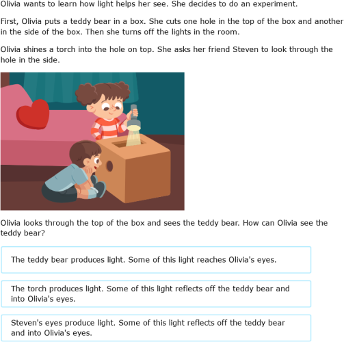 IXL - How do we see objects? (Year 3 science practice)
