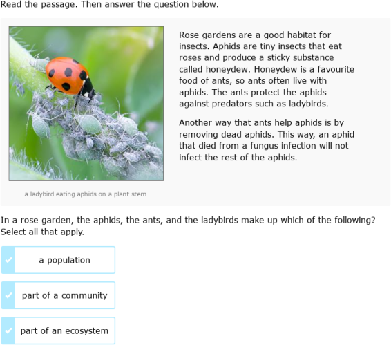 IXL - Describe populations, communities and ecosystems (Year 7 science ...