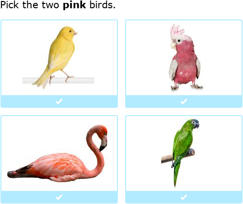 IXL - Classify objects by colour (Foundation science practice)