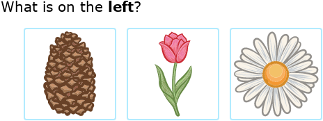 IXL - Left, middle and right (Preschool maths practice)
