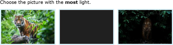 IXL - More light or less light (Foundation science practice)