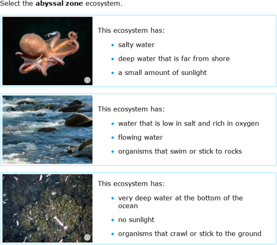 IXL - Identify ecosystems (Year 7 science practice)