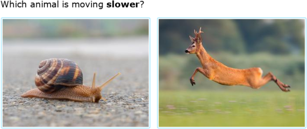 IXL - Fast and slow (Year 1 science practice)