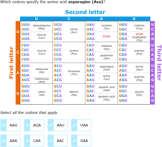 IXL - Read a codon table (Year 9 science practice)