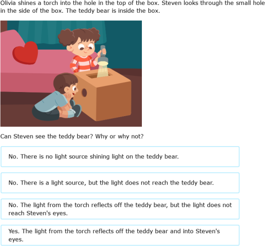 IXL - How do we see objects? (Year 4 science practice)