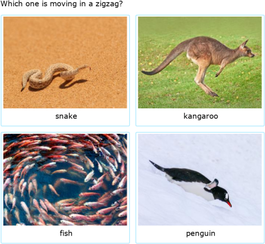 IXL - The ways things move (Foundation science practice)