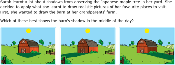 IXL - Shadows (Year 5 science practice)