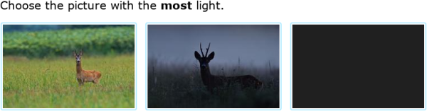 IXL - More light or less light (Year 1 science practice)