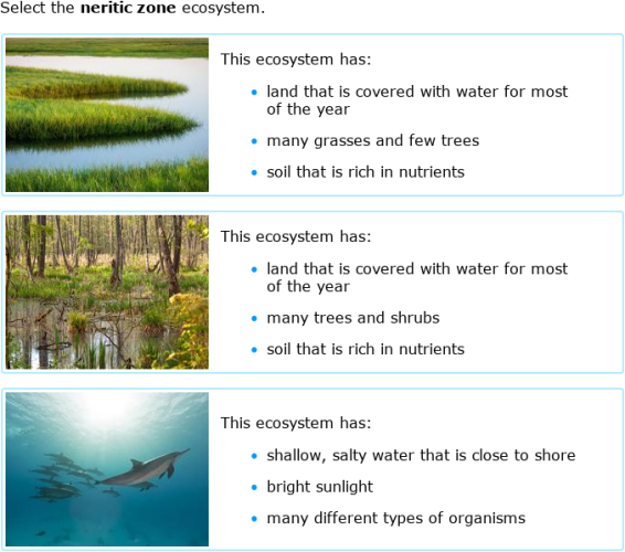 IXL - Identify ecosystems (Year 8 science practice)