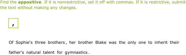 IXL - Commas with non-restrictive elements (Year 12 English practice)