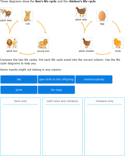 IXL - Compare different animals' life cycles (Year 3 science practice)