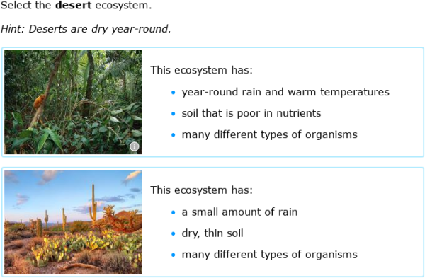 IXL - Identify ecosystems (Year 3 science practice)