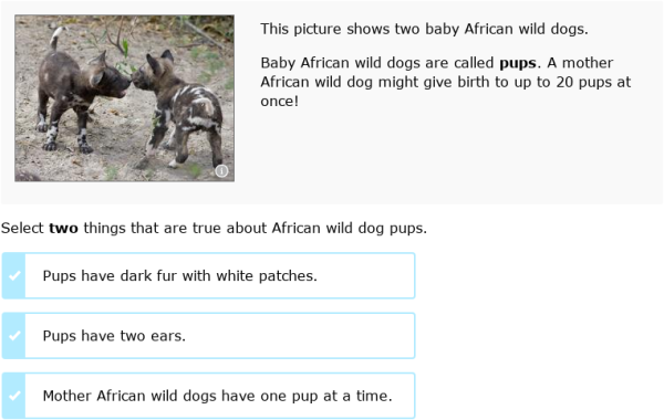 IXL - Benefits of group behaviour: African wild dogs (Year 3 science ...