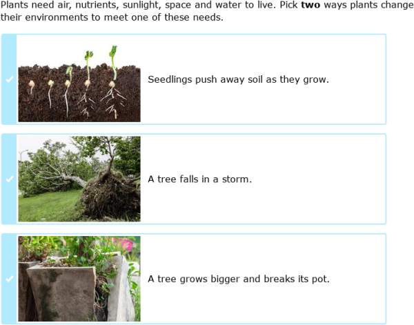 IXL - How do living things change their environments to meet their ...