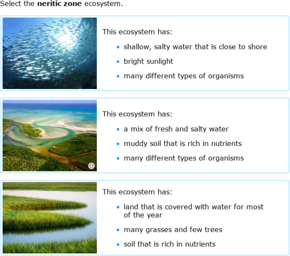 IXL - Identify ecosystems (Year 6 science practice)