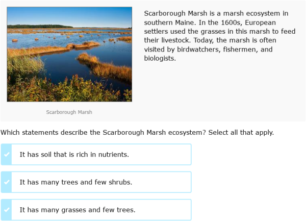 IXL - Describe ecosystems (Year 8 science practice)