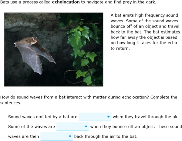 IXL - Transmission, reflection and absorption of waves (Year 7 science ...