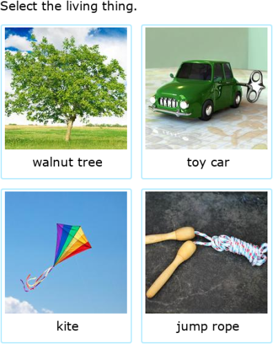 IXL - Identify living and non-living things (Foundation science practice)