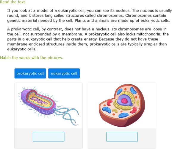 IXL Determine The Meaning Of Domain specific Words With Pictures ixl-determine-the-meaning-of-domain-specific-words-with-pictures